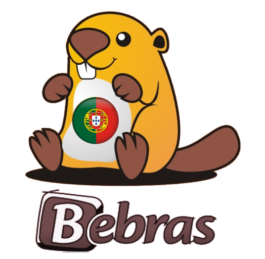 Bem Vindo - Bebras - Castor Informático